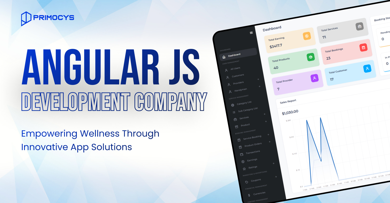 AngularJS Development Company | AngularJS Development Services